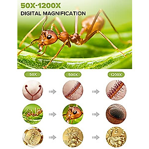 ANNLOV 7" LCD Digital Microscope with 32GB TF Card 1200X Maginfication 1080P Coin Microscope, 48Pcs Prepared Microscope Slide