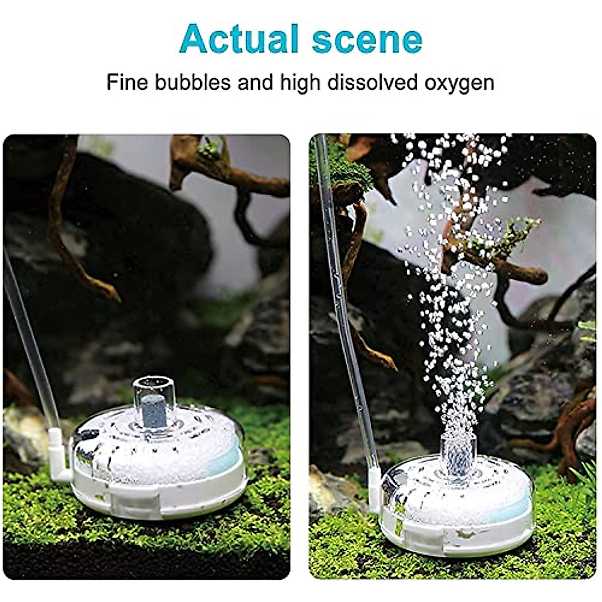 UPETTOOLS Mini Aquarium Sponge Filter，Small Internal Fish Tank Filter Sui for 2-6 Gallon Tank