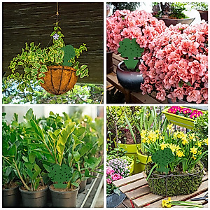 58 Pcs Green Flying Insect Traps for Plants,Indoors, Outdoors, Kitchen, Sticky Traps for Fungus Gnat, Fly and Fruit Fly, Flying Insects, Non-Toxic & Odorless, Kid and Pet Safe, Economic Pack (Green)