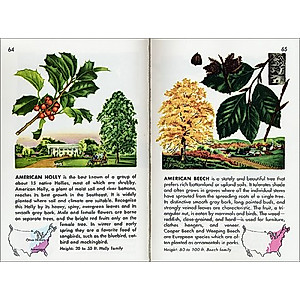 Trees: Revised and Updated (A Golden Guide from St. Martin's Press)