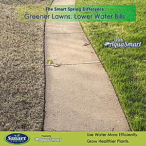 AquaSmart Water Storing Minerals – Fewer Plant Waterings for Indoor Pots and Outdoor Gardens – Self Watering Garden Soil Additive - Natural Non-Toxic Coated Magic Sand for Planters