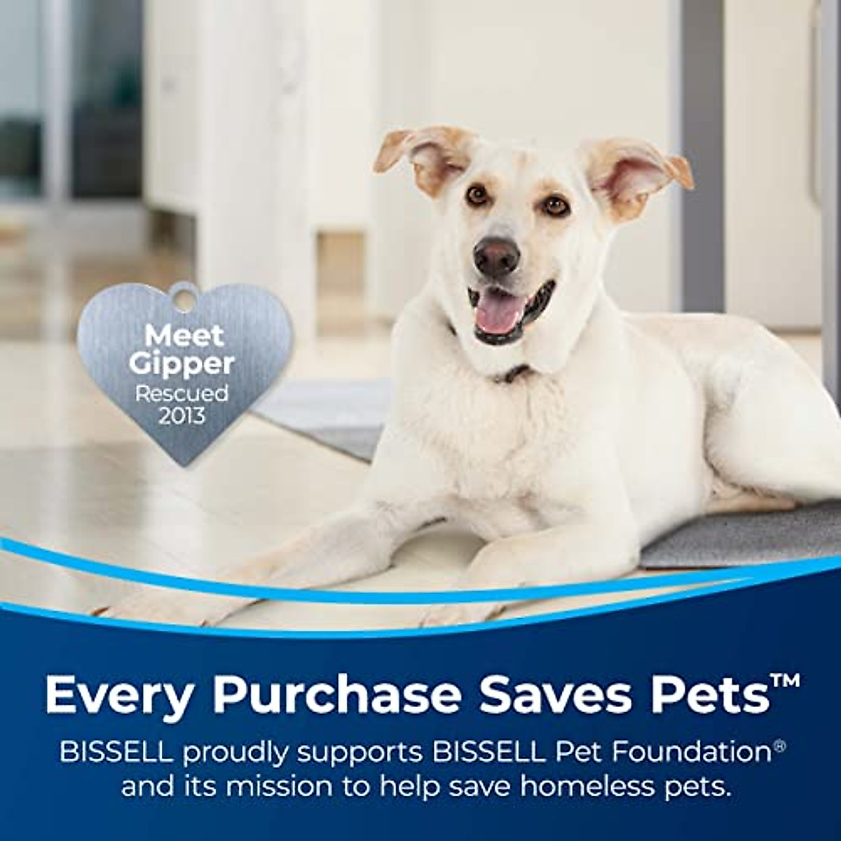 Bissell Antibacterial 2-in-1 Carpet Cleaner