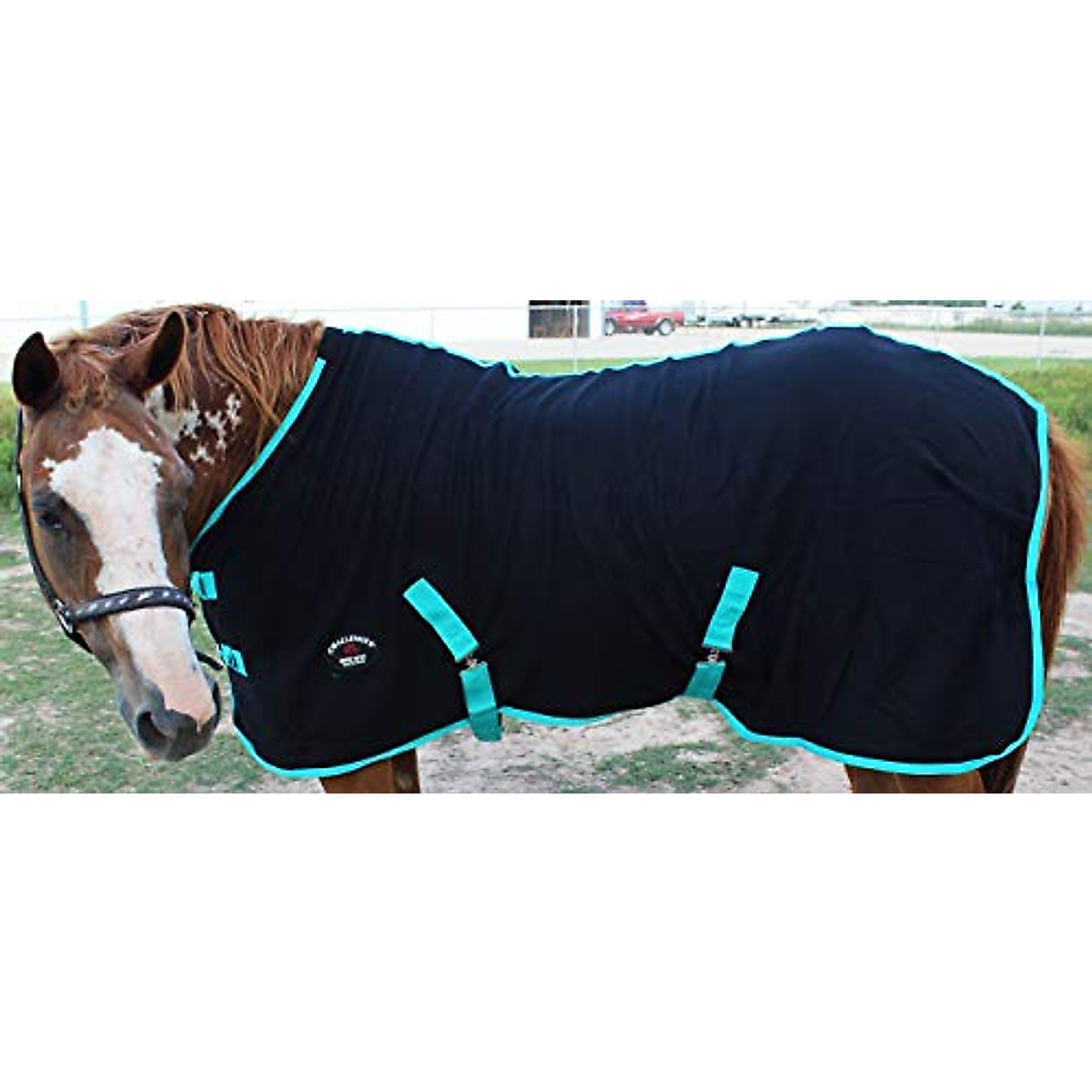 CHALLENGER 66" Horse Sheet Polar Fleece Cooler Exercise Blanket Wicks Moisture Turquoise 4350