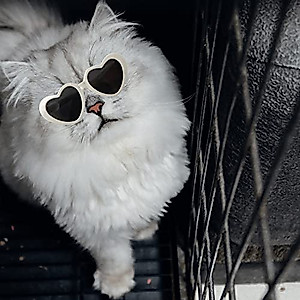 Pet Cat Dog Doll Sunglasses, Kitty Funny Props Eyeglasses, Cosplay Photography Props Cute Sunglasses 2PCs Pink and White