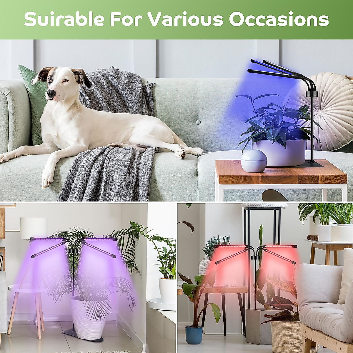 Shyineyou Grows Lights for Indoor Plants Full Spectrum, Plant Light for Indoor Plant with 3/9/12H Timer, 3 Switch Modes, Dimmable Plant Grow Light