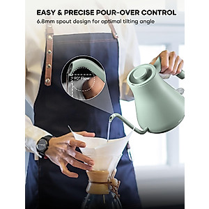 Electric Kettle, Offacy Gooseneck Kettle with 6.8mm Fine V-Shaped Spout, Auto Shut-Off & Boil Dry Protection, BPA Free, 1200 Watt Quick Heating, 0.9L, Light Green