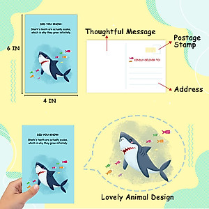 40 Pack Animal Fun Fact Postcards for Kids 4” x 6” Animal Greeting Cards Animal Knowledge Cards Animal Thank Note Cards Funny Cards Pack for Students, Friends and more