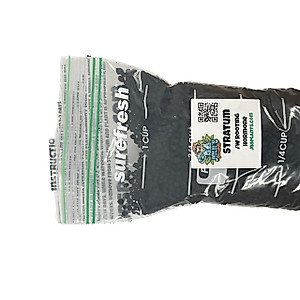 Thai Con Monstera Rare Plant Grow kit