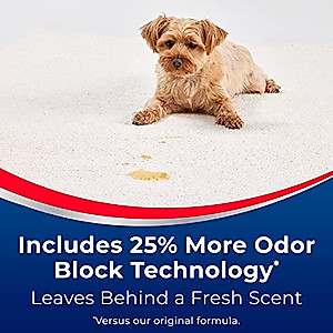 Bissell Advantage INSTAclean™ Pet Stain Remover - 2 Pack, 3322