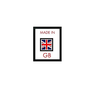 FRAMES BY POST METROGOLDWITHBLUMT5040CM1612 Frame, 50 x 40 cm Image Size 16 x 12 Inch Plastic Glass, Gold Blue Mount