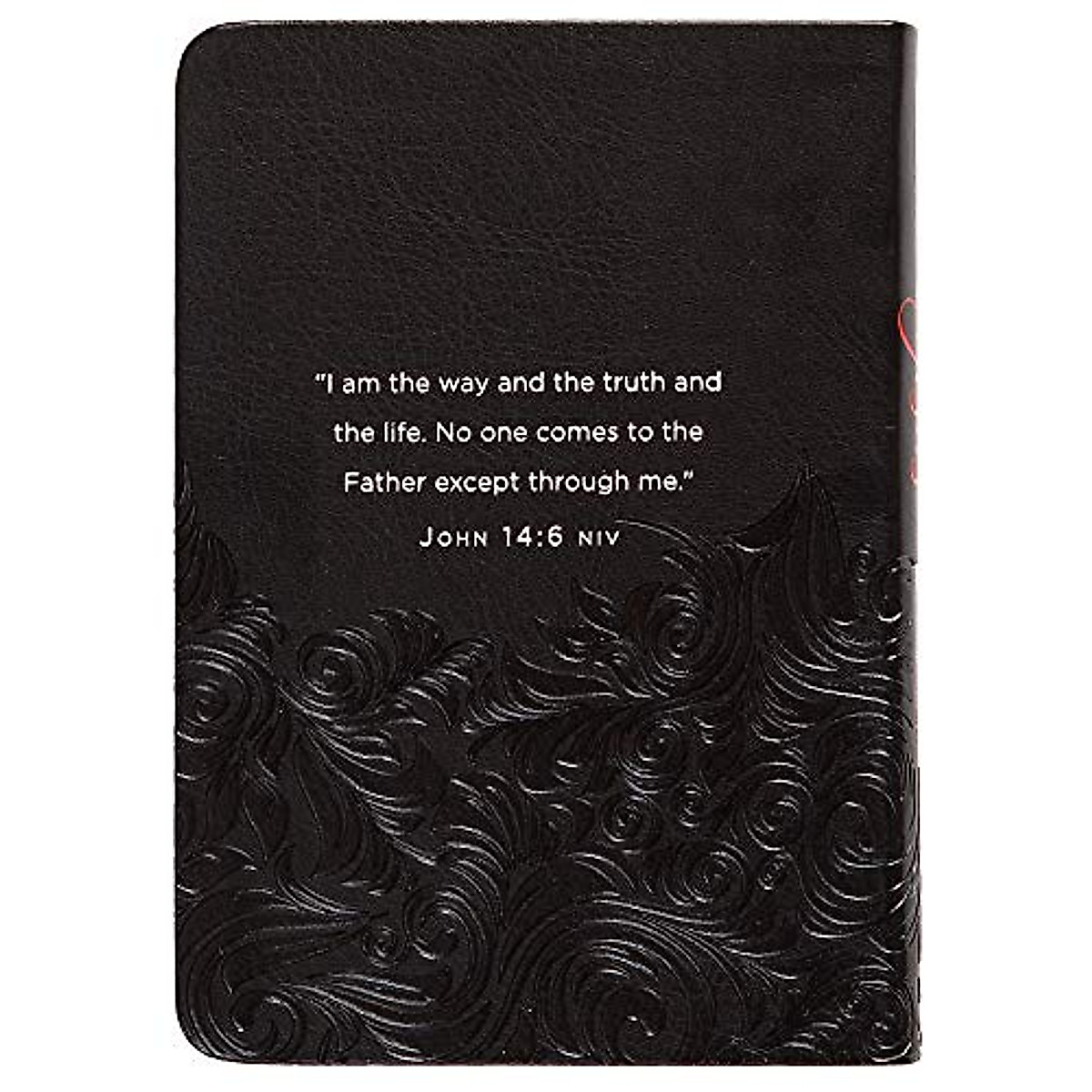 Jesus in Red: 365 Meditations on the Words of Jesus (Imitation Leather) – Daily Motivational Devotions for All Ages, Authored by Ray Comfort, Perfect ... Family, Birthdays, Holidays, and More.