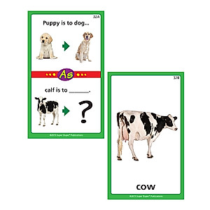 Super Duper Publications | Webber® Photo Flash Cards Analogies Early Reader | Educational Learning Resource for Children
