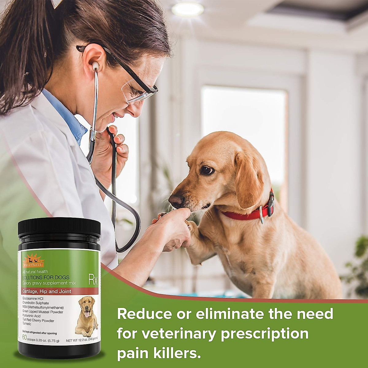 WellyTails Glucosamine Chondroitin MSM Turmeric Dog Joint Supplement for Large Dogs 12.2 oz. (60 Scoops)