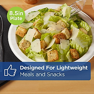 Dixie Basic 8.5” Light-Weight Paper Plates by GP PRO (Georgia-Pacific), White, DBP09W, 500 Count (125 Plates Per Pack, 4 Packs Per Case)