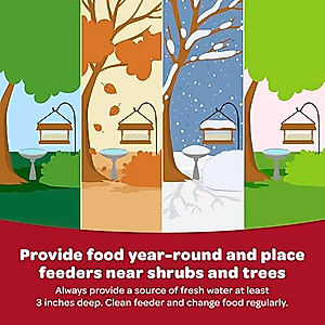 Kaytee Wild Bird Seed & Mealworm Seed Cake Food For Bluebirds, Chickadees, Woodpeckers and More, 1.4 Pound