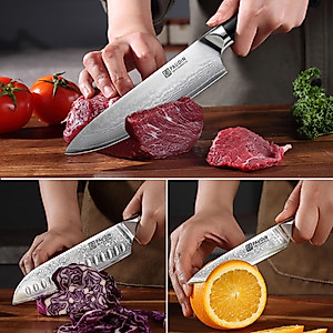 PAUDIN Damascus Knife Set 3 PCS, Kitchen Knife Set with Japanese VG10 Steel Core, Ultra Sharp Chef Knife Set with Full Tang G10 Handle, Damascus Kitchen Knives