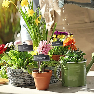 Metal Plant Labels Weatherproof 25 Pack, Stainless Steel 304 Garden Label Markers Outdoor for Plants Vegetables Herb Seedlings Flowers with a Pen, Label Area 3.74'' x 1.39'' Height 10.75 Inch