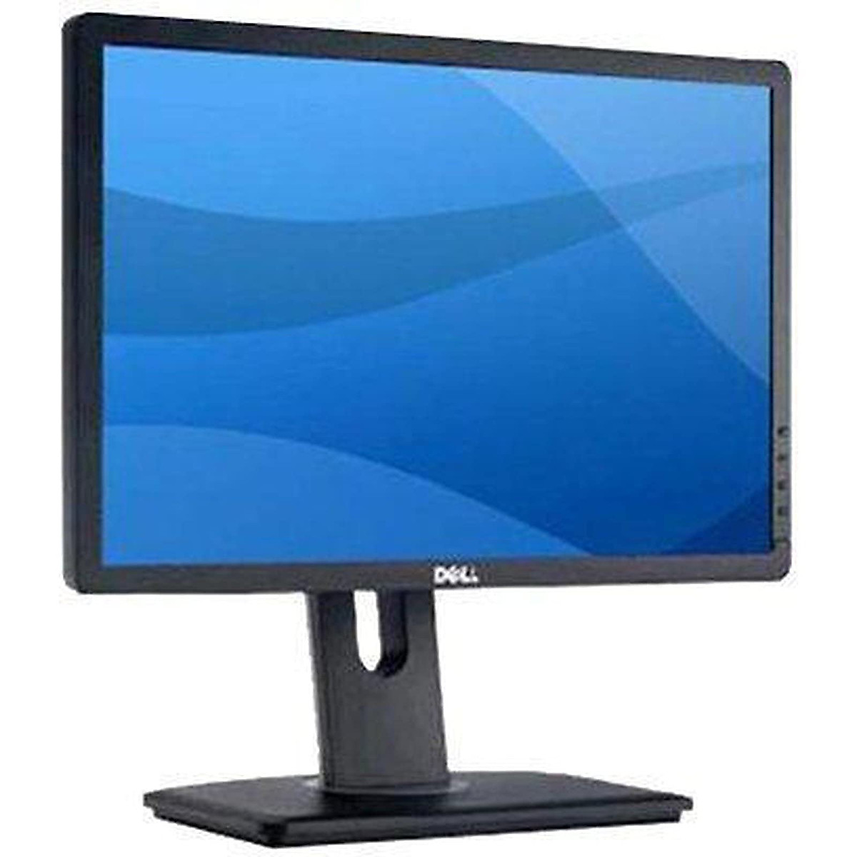 Dell Professional P1913 19-Inch PLHD Widescreen Monitor