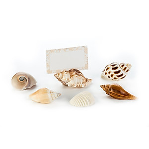 Kate Aspen Shell Placeholders