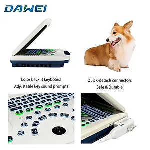 DAWEI Portable Ultrasound Machine Laptop Vet Ultrasound Scanner with 6.5Mhz Micro Convex Probe for Pregnancy Pet,Rabbits,Sheep,Dogs,Cats,Small Animals