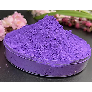 GOODTAKE Purple Iron Oxide, Concrete Pigments for Artistic and Decorative Painting, Cement Dye for Concrete, Clay, Lime, Tile, Mortar, Grout, Plaster, Masonry, Paint (Purple, 20 oz)