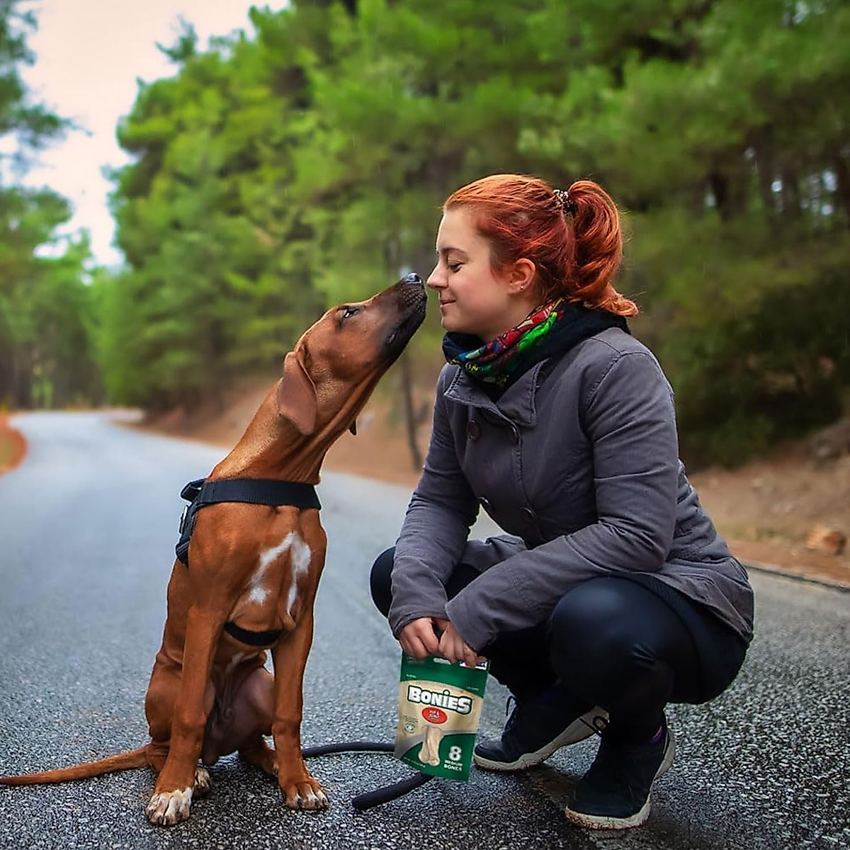 Bonies Natural Hip & Joint Formula Mini-Sized Bone, Glucosamine & Omega Fatty Acids, Fresh Breath, Clean Teeth, Low Calories, Chicken Flavor, Minis, 60 Bones