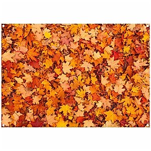 ZTHMOE 7x5ft Fall Maple Leaves Photography Backdrop Autumn Friendsgiving Scene Background Floor Party Supplies Halloween Decoration Banner Photo Booth Props