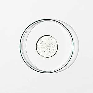 Grown Alchemist Hand Wash Sweet Orange, Cedarwood and Sage. Gentle Hand Wash that Hydrates and Cleanses Skin, 10 Ounce (300ml).