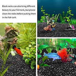 3.3 lb Black Rock, Decorative Polished Pebbles for Plants, Landscapes, Gardens, Fish Tanks, vase fillings, etc, 0.1 to 0.3 inches