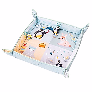 Taf Toys North Pole Four Seasons Play Mat