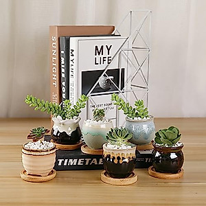 T4U Small Ceramic Succulent Pots with Drainage Set of 6, Mini Pots for Plants, Tiny Porcelain Planter, Air Plant Flower Pots Cactus Faux Plants Containers, Home and Office Decor