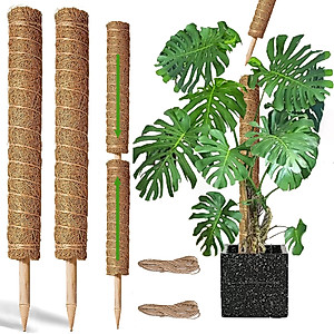Moss Pole -2 Pack 17 Inch Monstera Plant Support for Climbing Plants Accessories Indoor -Stackable Moss Poles Plant Support Stakes -Coir Plant Pole Sticks for Potted Plants -Pothos - Plant Trellis