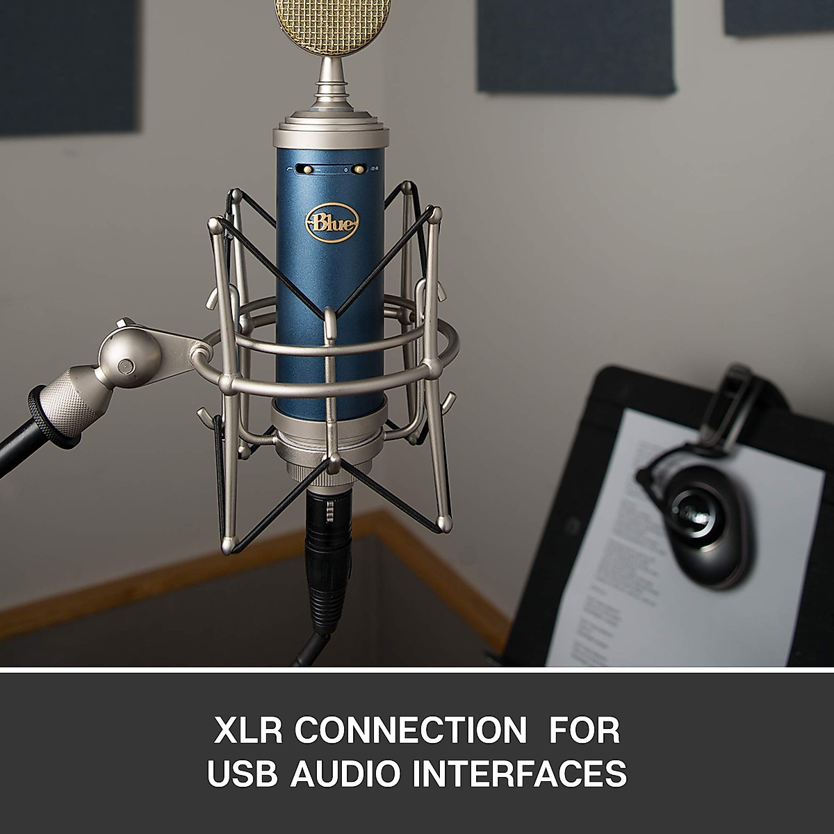 Blue Microphones Bluebird SL Large-Diaphragm Condenser Microphone (Renewed)