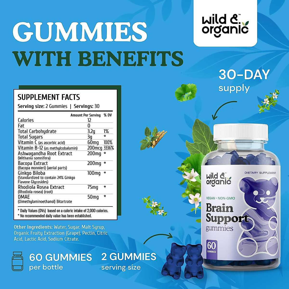 Wild & Organic Brain Support Gummies - Focus Supplement w/Ashwagandha Root, Vitamin B12, Ginkgo Biloba, Bacopa - Vegan Chews for Clarity & Productivity - 60 Brain Gummies