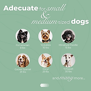 Alfred & Beebee Eco-Friendly Coffee Wood Dog Chew Toy Pack - for Regular Chewers - Dog Dental Chew