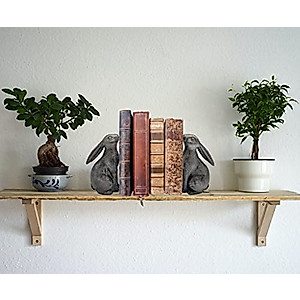 First of a Kind Bronze Rabbit Shaped Bookends – Farmhouse Shelves Organizer Book Ends - Resin Animal Figurine Cute Bookends - Heavy Duty Bookends to Hold Books - Set of 2 Book Stoppers