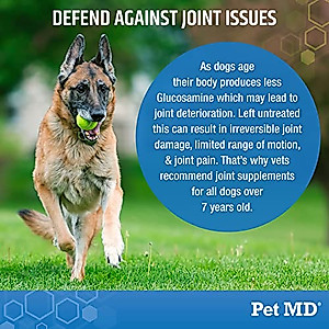Pet MD Glucosamine for Dogs | Dog Joint Supplement with Glucosamine, Chondroitin & MSM - Inflammatory Pain Relief Chews for Hip & Joints - Bacon Flavored - Includes Yucca & Turmeric - 120 Ct