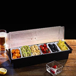 Bar Top Food Condiment Dispenser Container with Lid, Plastic Garnish Tray Station for Fruit, Veggie, Salad - Ice Cooled Topping Kitchen Organizer for Bar Home Restaurant Supplies & Serving (6 Tray)