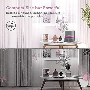 MEGAWISE True H13 HEPA Air Purifier for Home Bedroom Small Room Office, 3-IN-1 Filtration Air Cleaner for Smoke, Dust, Pet Dander, 100% Ozone Free, Available for California