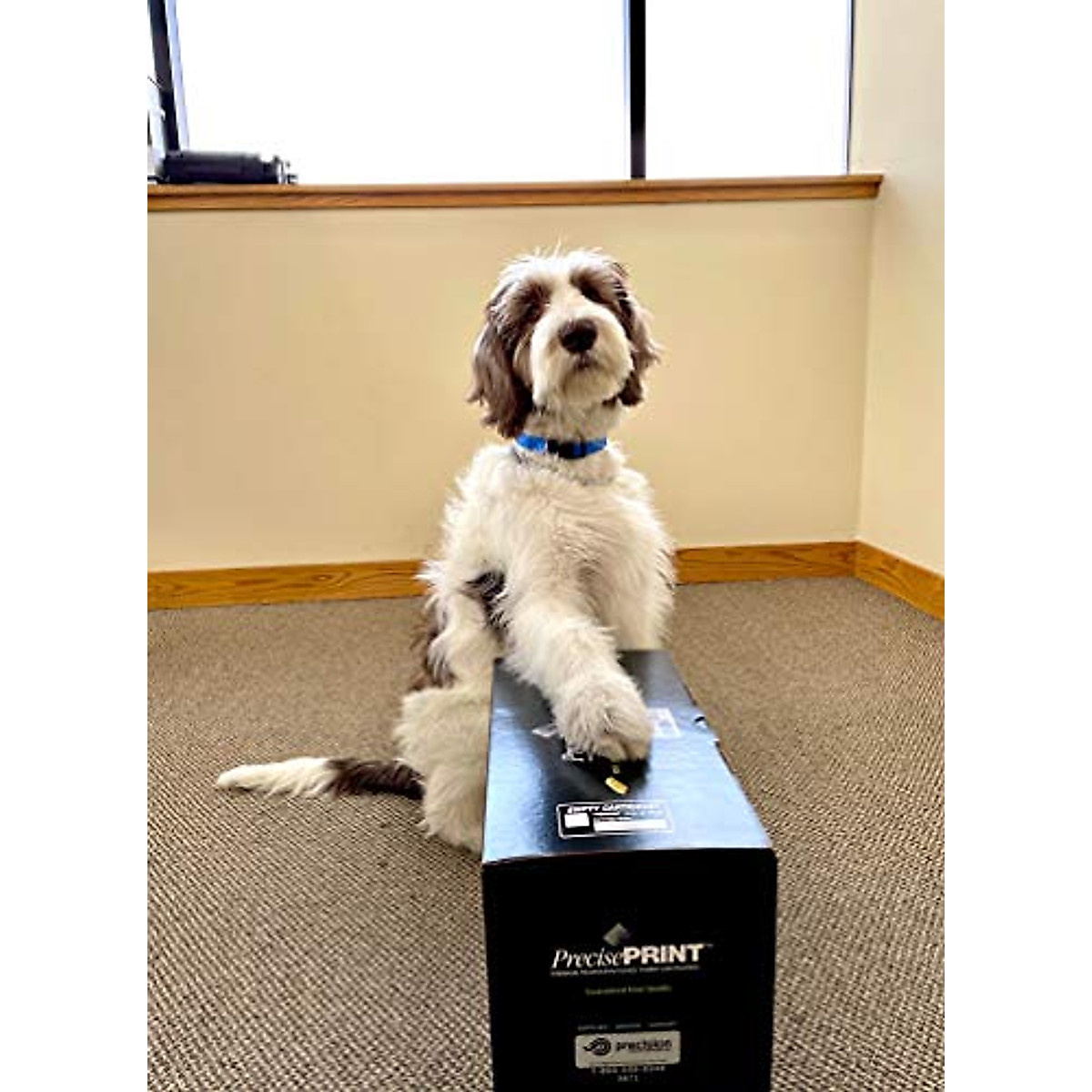 Precise Print Compatible Brother-TN450 Toner Cartridge | TN-450 HL-2270DW HL-2280DW HL-2230 HL-2240 MFC-7360N MFC-7860DW DCP-7065DN Intellifax 2840