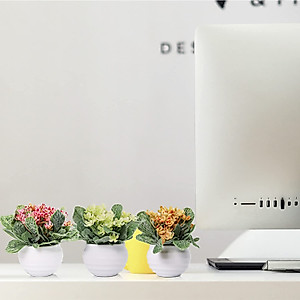 Zuvas Fake Plants 6 Packs Small Artificial Plastic Plants Set Home Decor Mini Potted Faux Flowers and Herb Greenery Leaves for Bathroom Office Table Shelf Decoration