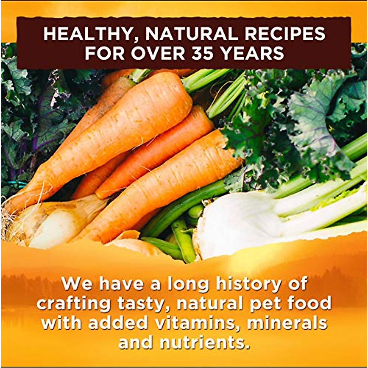 Nature's Recipe Grain Free Wet Dog Food, Chicken & Venison Stew Recipe, 10 Ounce Can (Pack of 12)