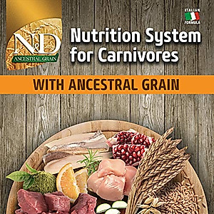 Farmina, Natural & Delicious Low-Grain Chicken Dog 26.4lb, Medium