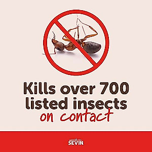 Sevin Insect Killer Ready to use 1 Gallon