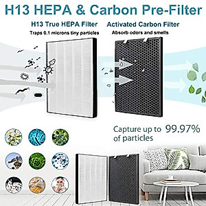 FFsign 2678 Replacement High Efficiency HEPA Filter + 2677 Actived Carbon Filter for Bissell Air220 Air320, 1 True HEPA Pre-Filter & 1 Carbon Filter