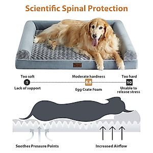 Orthopedic Dog Beds for Medium/Large/ExtraLarge Dogs with Waterproof Lining,Removable Washable Cover and Nonskid Bottom, Comfortable Couch Egg Foam Sofa Dog Beds Grey