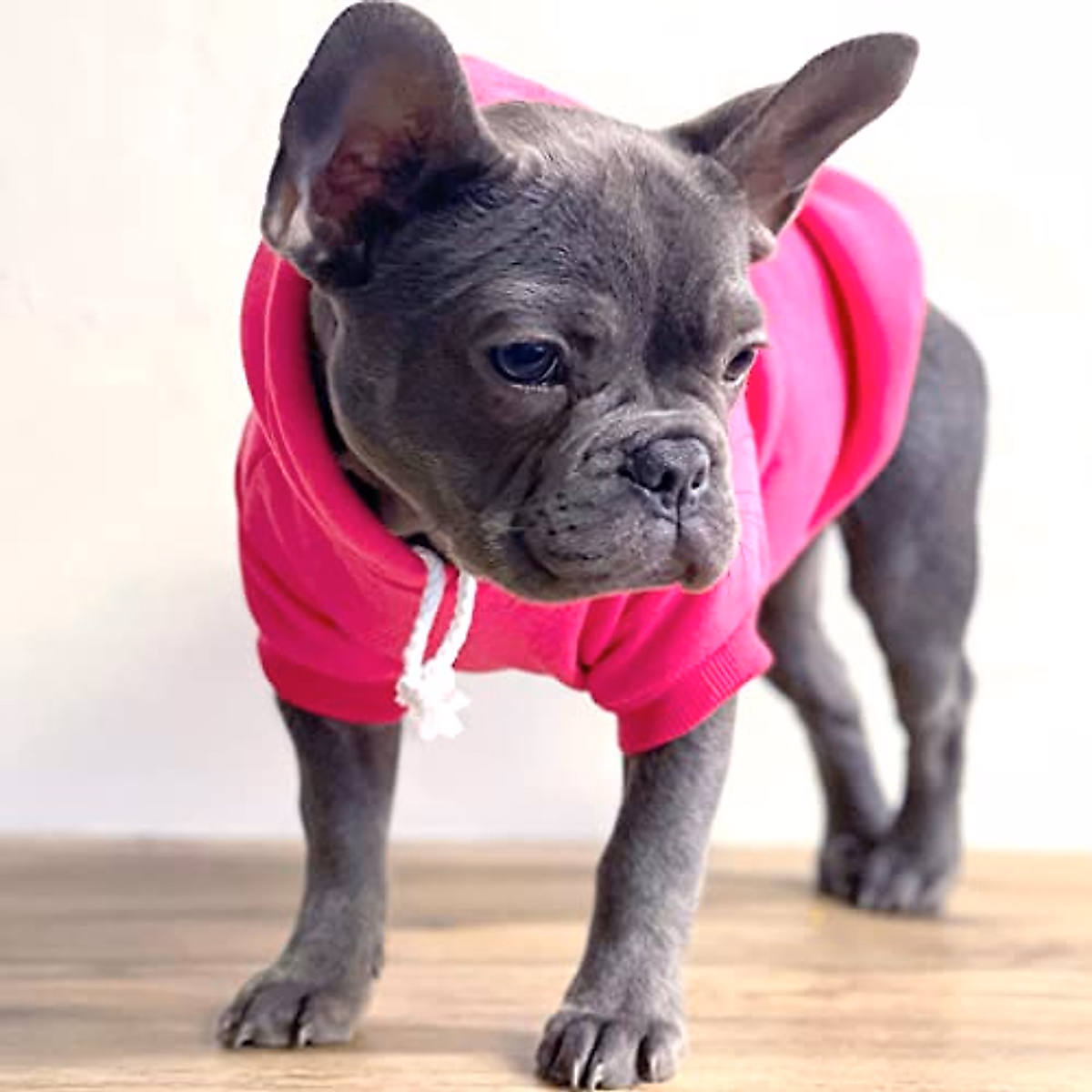 Stealing Hearts & Blasting Farts Valentine's Day Pullover Fleece Lined Dog Hoodie with Leash Hole (Red Hooded Sweatshirt)