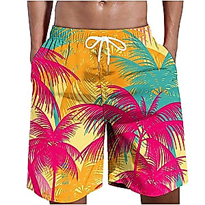 Mittory Mens Swimming Shorts Quick Dry Beach Trunks Elastic Waist Printed Hawaiian Swimwear Bathing Suits Rugs 8x10 Clearance Prime
