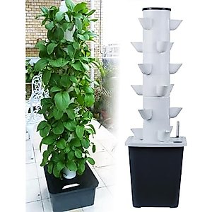Hydroponic Growing System, DIY Indoor Herb Garden Kit with Automatic Watering Pump, Timer, Adapter and Net Pots, Ideal for Growing Fresh Fruits and Vegetables at Home(Color:30holes,Size:)