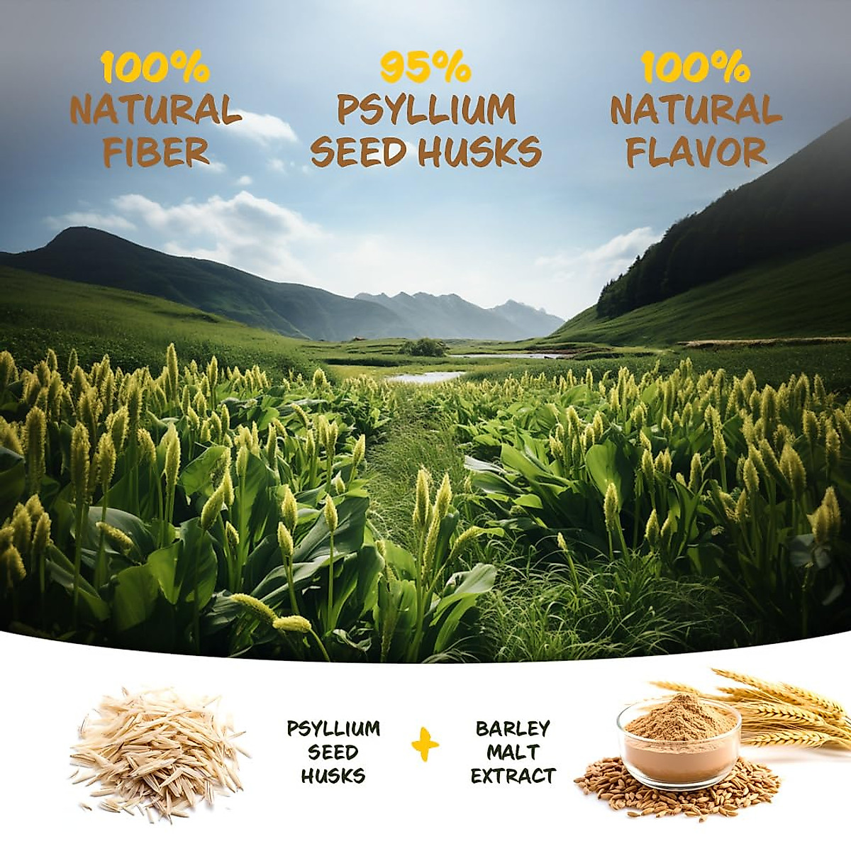 Vegan Fiber Capsules for Cats Digestive Supplement, Ovatasyl 500 mg Psyllium Seed Husks, Constipation, Hairballs, Pet Essentials & Wellbeing, 100 Vegan Capsules